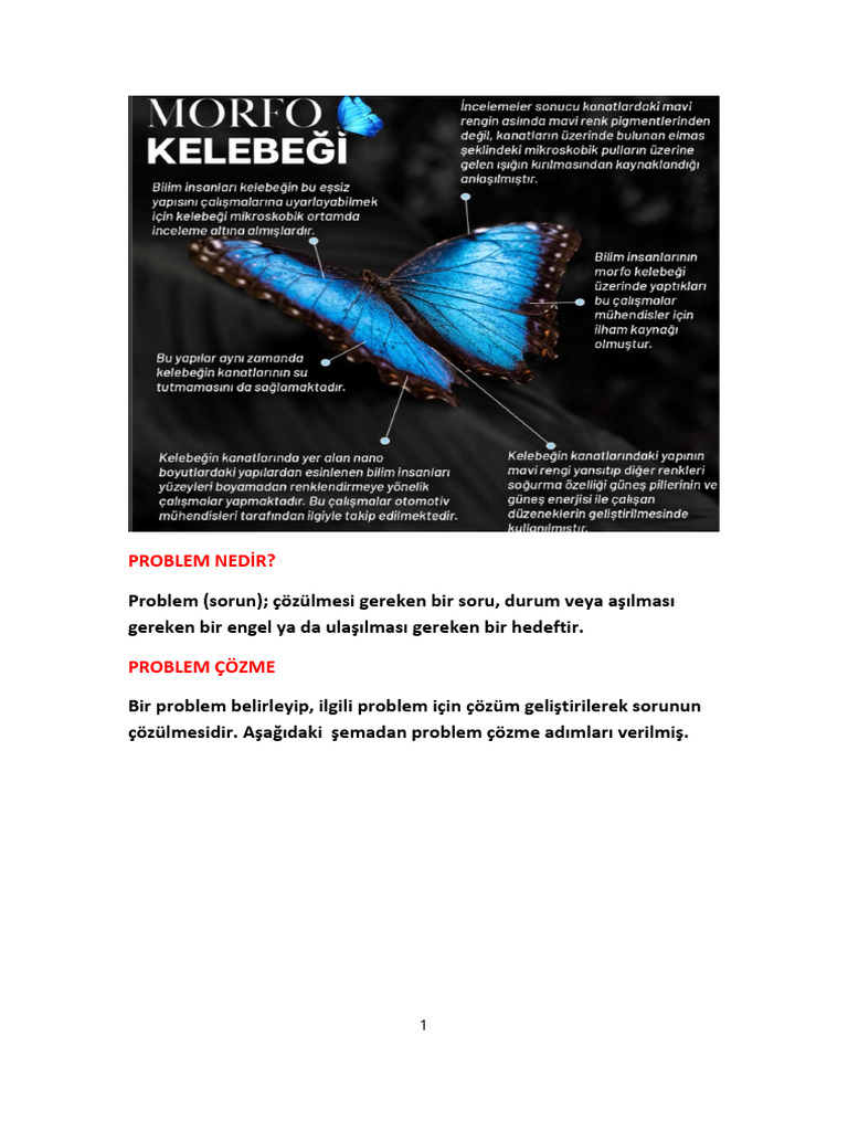 Morfo Kelebeği | PDF