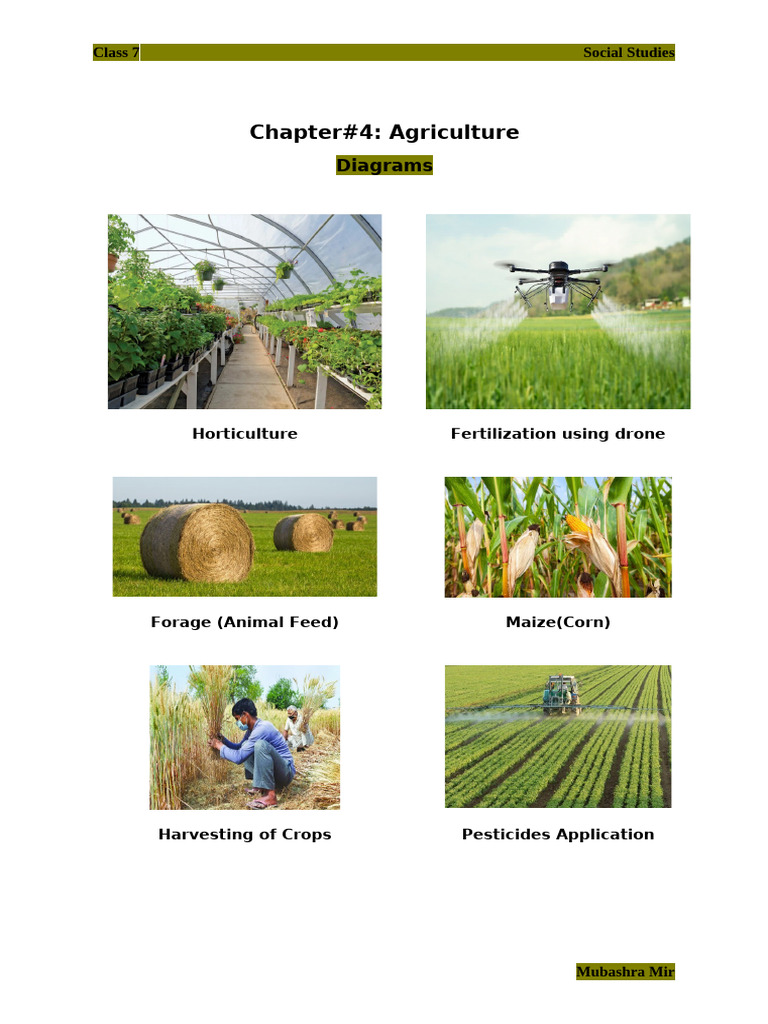 Class 7 Social Studies Topics | PDF