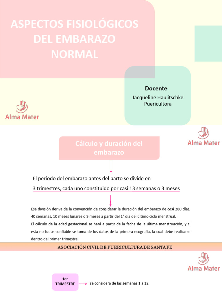 Aspectos Fisiológicos Del Embarazo Normal | PDF | El embarazo | Feto