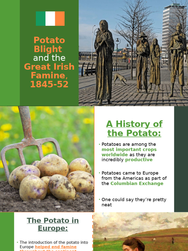Lecture 19 - Potato Blight and The Great Irish Famine | PDF | Potato ...