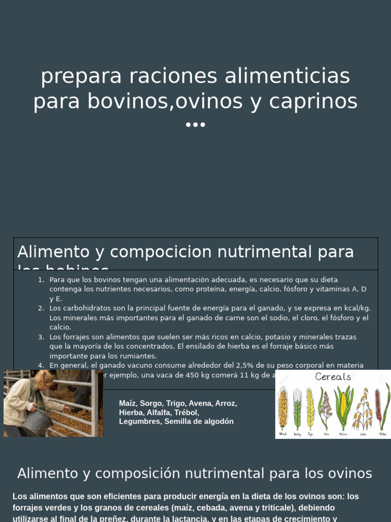 Prepara Raciones Alimenticias | PDF | Alimentos | Cereales