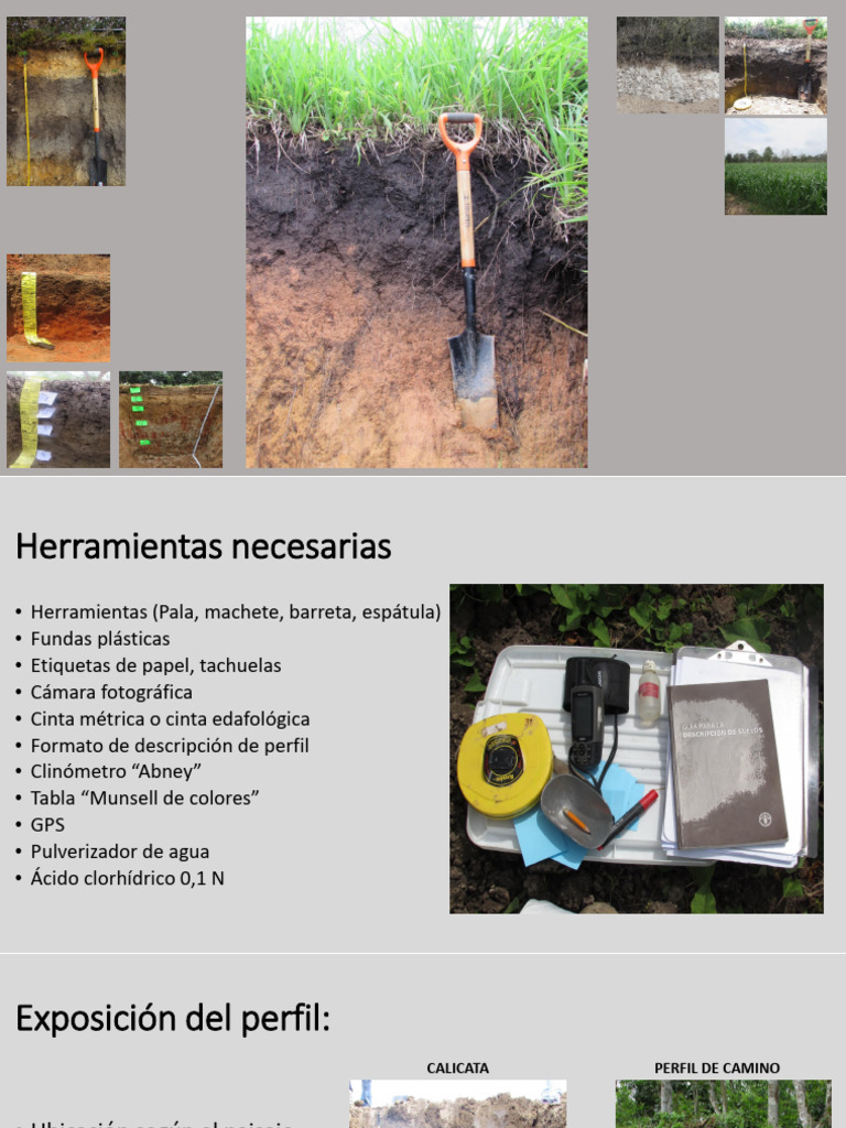 Guia para La Descripción de Un Perfil de Suelos - DV | PDF | Ciencias de la Tierra | Ciencia del ...