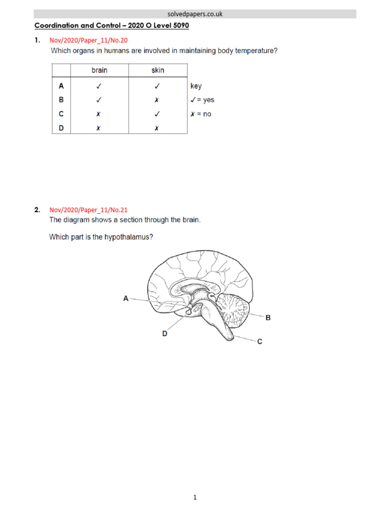 2020 Coordination and Control O Level 5090 | PDF | Finance & Money ...