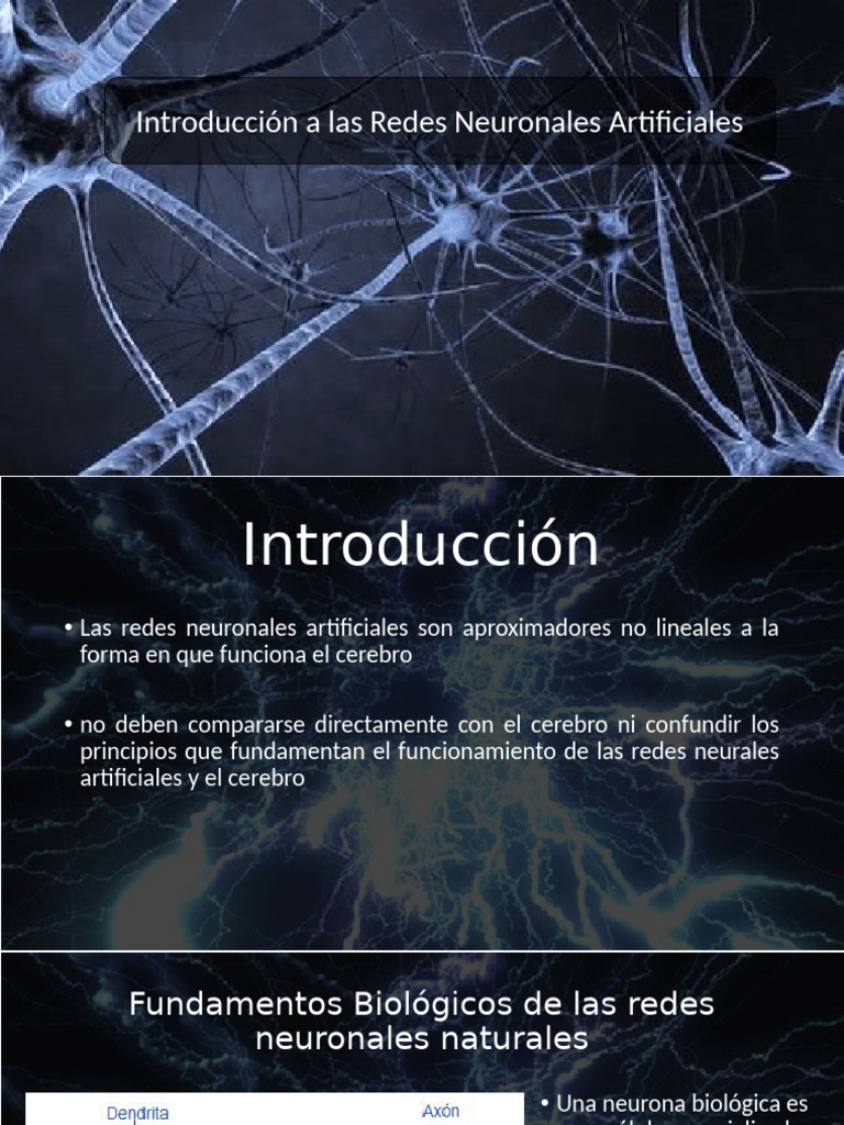 Introa Redes Neuronales | PDF | Sinapsis | Neurona