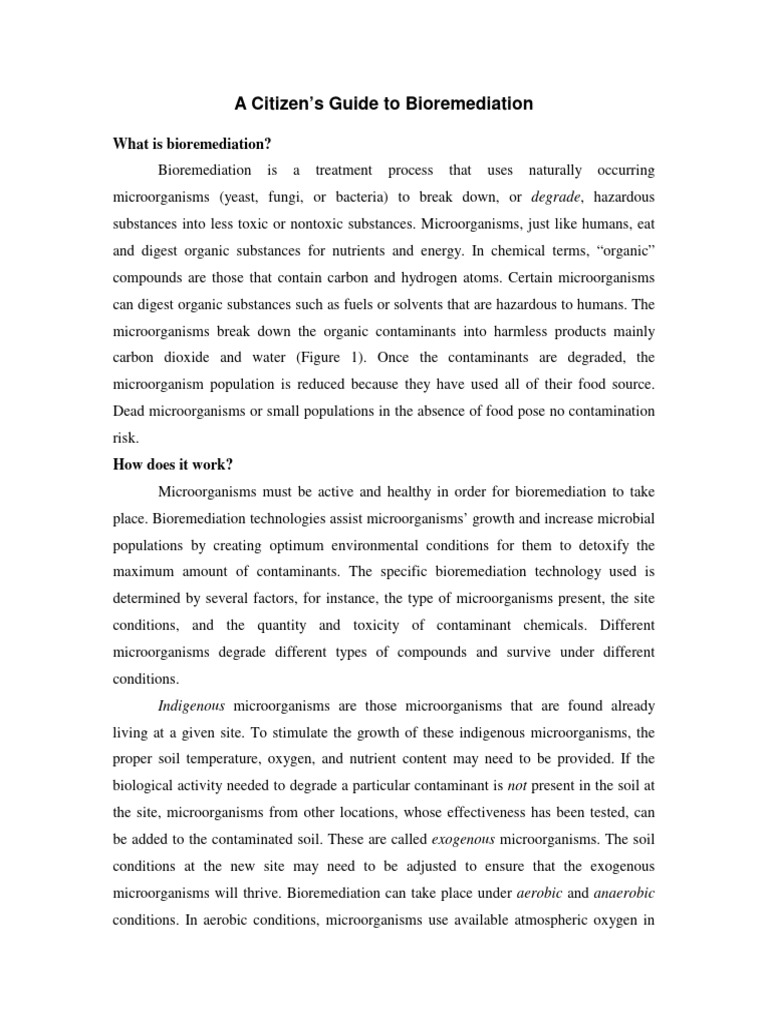 Bioremediation Application | PDF | Soil | Environmental Remediation