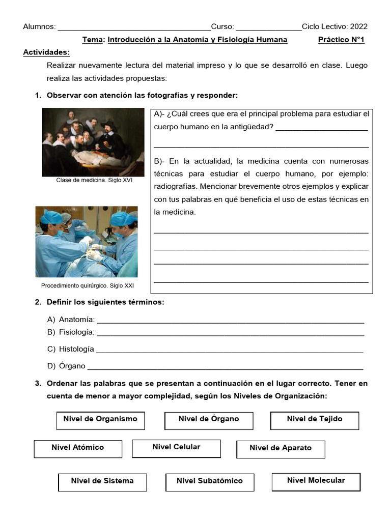 Anatomia y Fisiologia H. T.P N°1 (Autoguardado) 2022 | PDF | Cuerpo humano | Timo