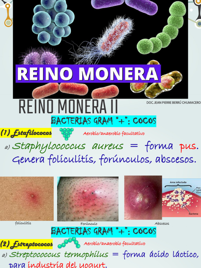 Tem 19-1 Sec-Teo-Reino Monera II | PDF | Las bacterias | Estreptococo