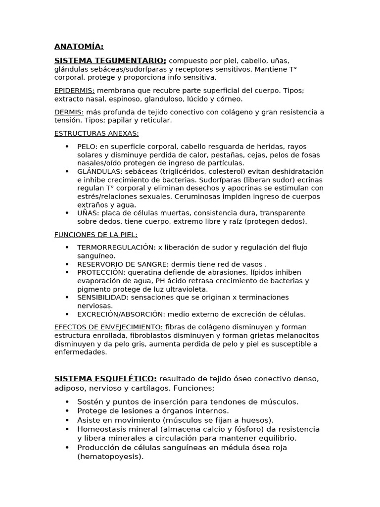 Anatomía Final | PDF | Digestión | Riñón