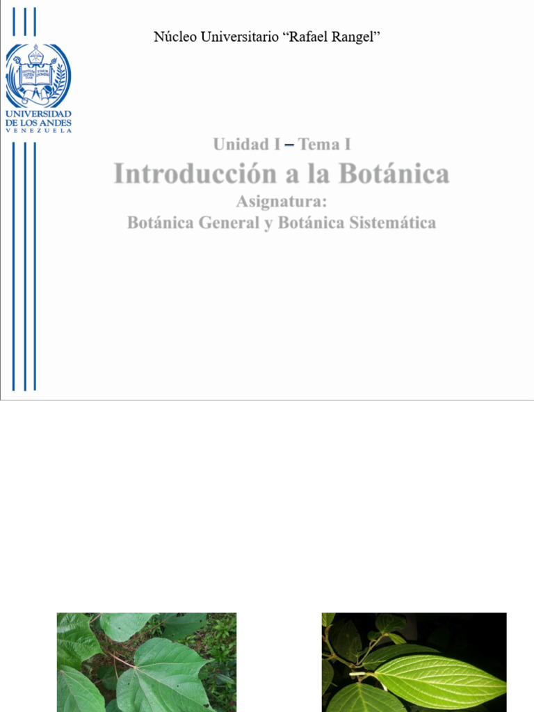 Null 2 | PDF | Botánica | Plantas