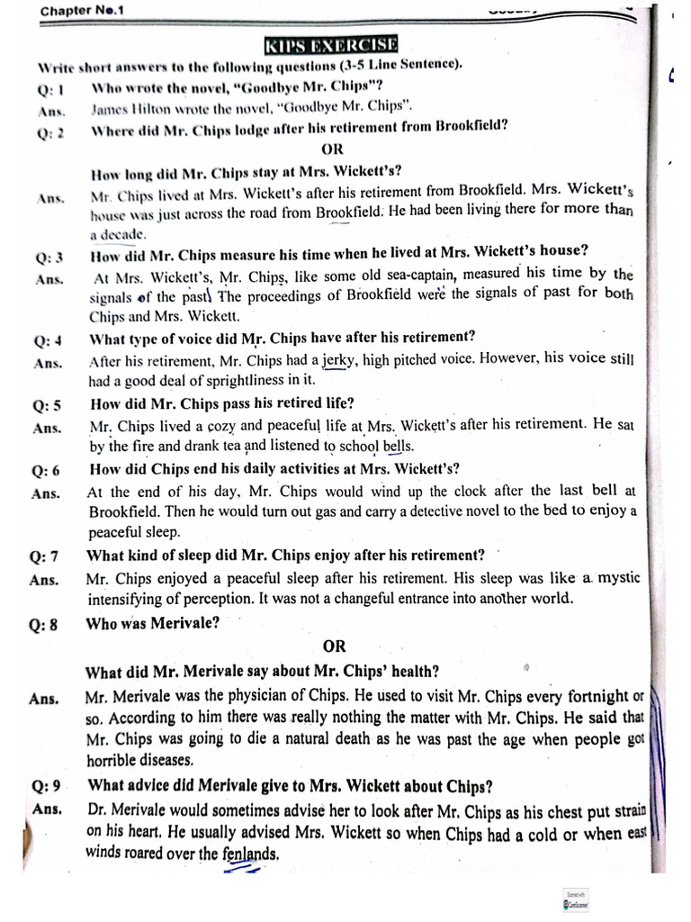 MR Chip Questions Answers | PDF