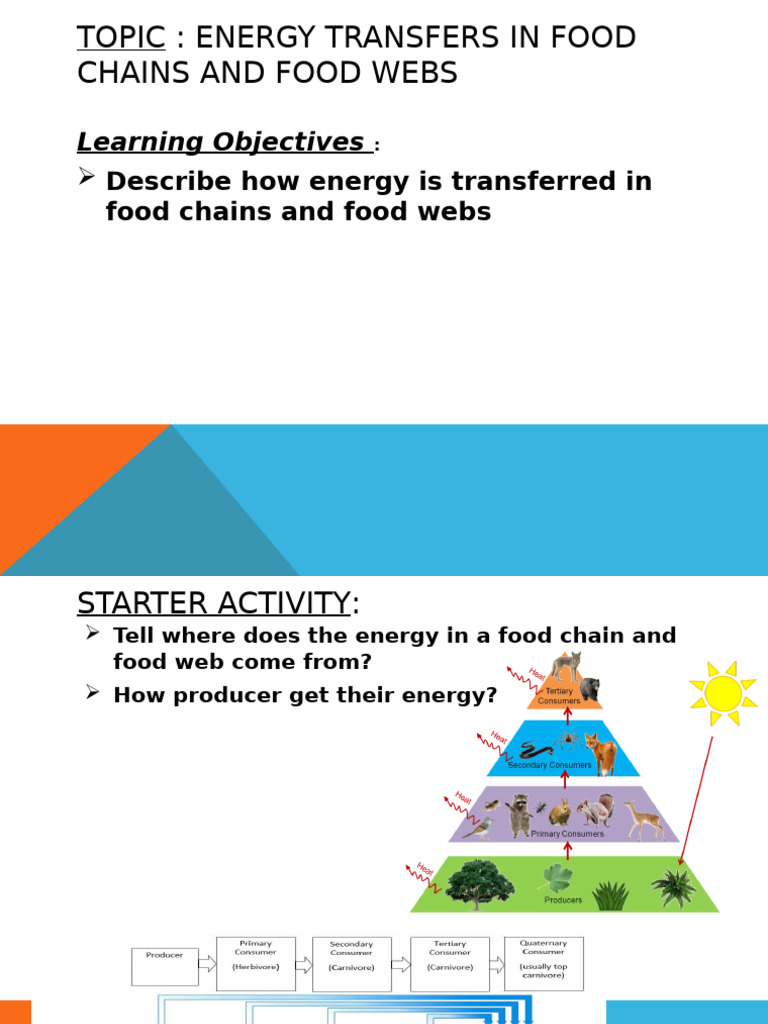 Energy Transfer Grade 5 | PDF | Wellness