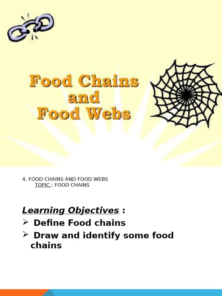 Food Chains Presentation | PDF