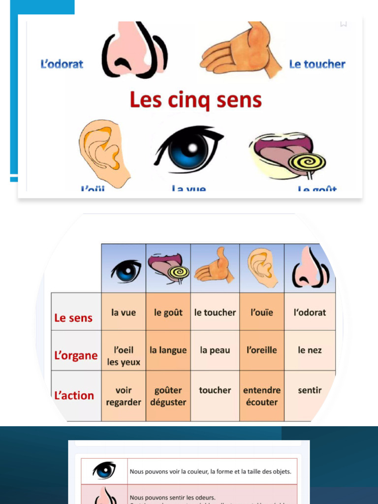 Les Cinq Sens | PDF