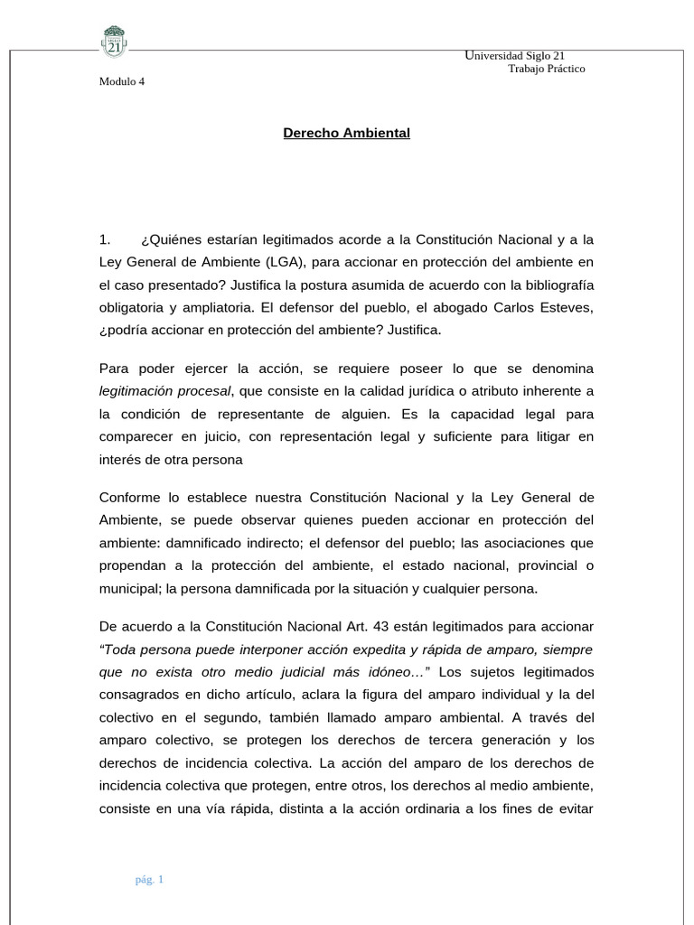 Dr. Ambiental TP4 70% | PDF | Derechos | Constitución