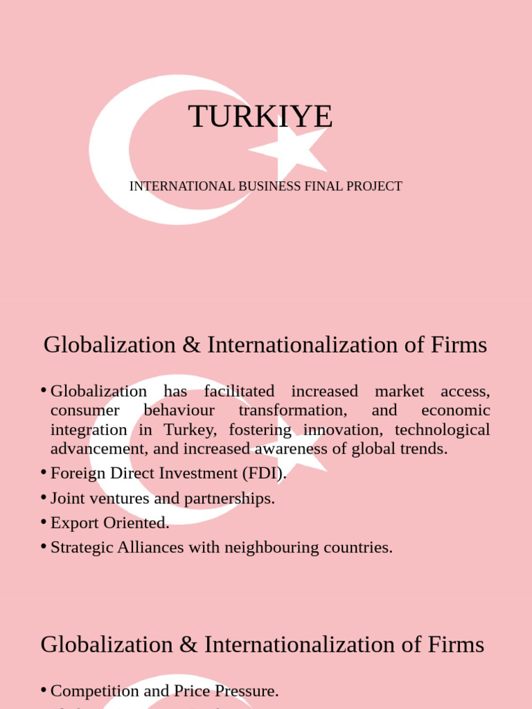Ib Final | PDF | Turkey | Market (Economics)