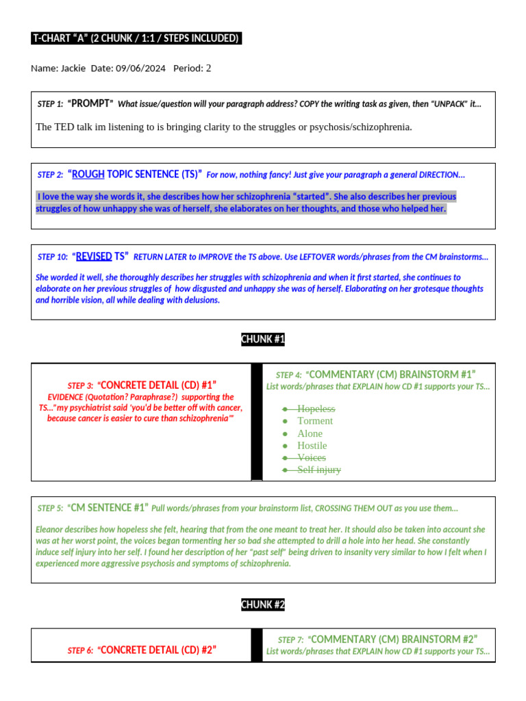 Ted Talk - Jackie Hernandez | PDF | Schizophrenia | Psychosis