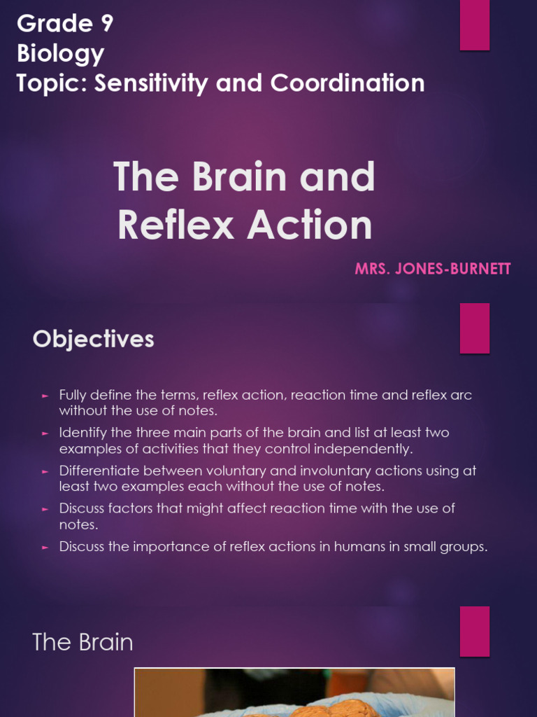 The Brain and Reflex Action | PDF | Stimulus (Physiology) | Mental Chronometry