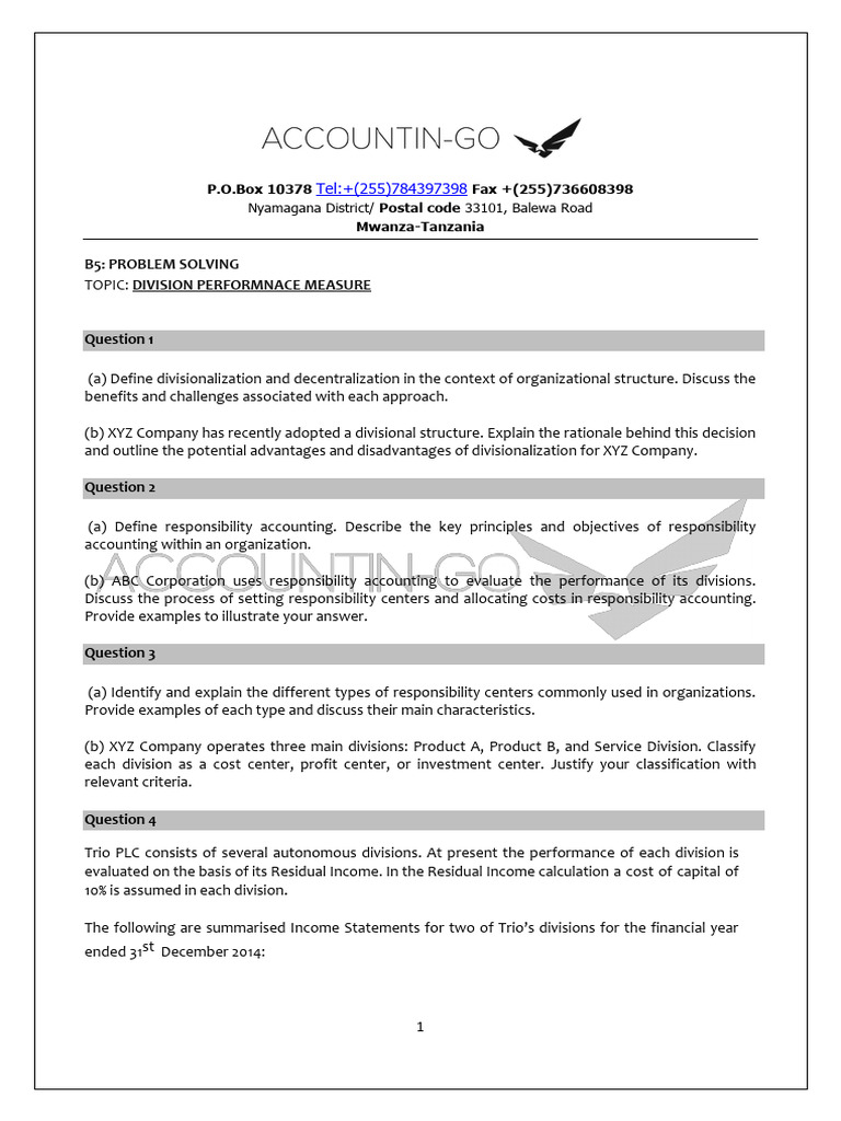 Divisional Performance Measurement Insights | PDF | Return On ...