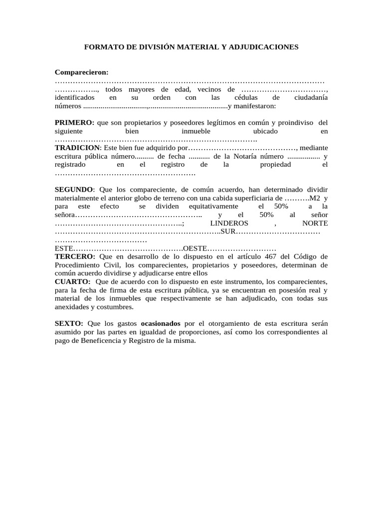 Formato de División Material y Adjudicaciones | PDF | Derecho