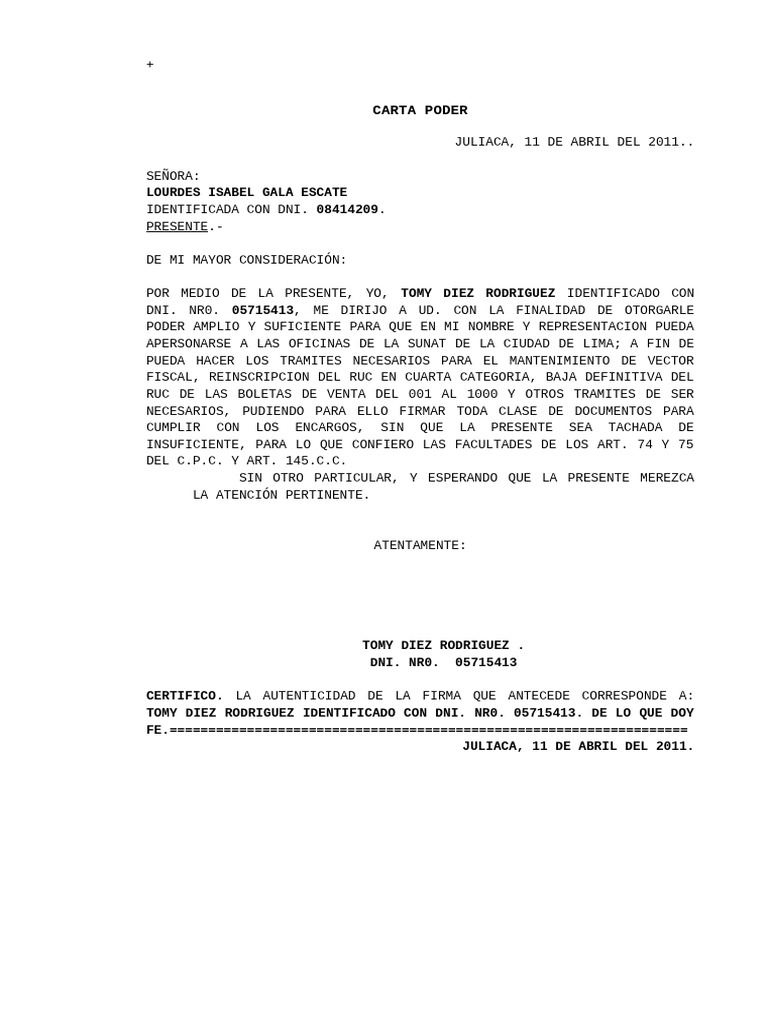 Carta Poder para Sunat | PDF