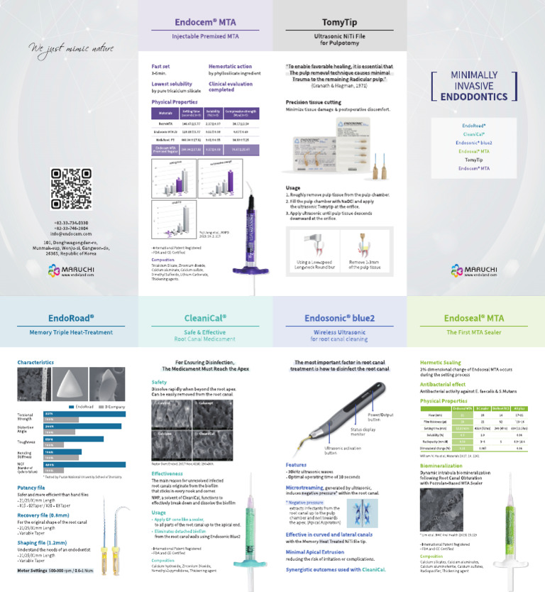 Minimally Invasive Endodontics - MARUCHI | PDF
