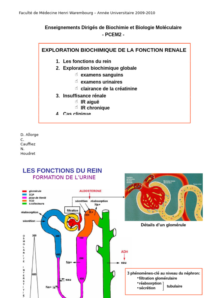 Exploration biochimique de la fonction rénale | PDF | Rein | Créatinine
