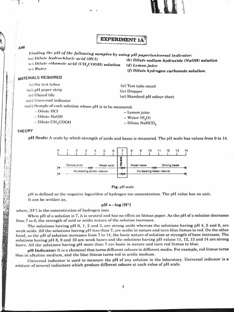Sample Paper Biology | PDF