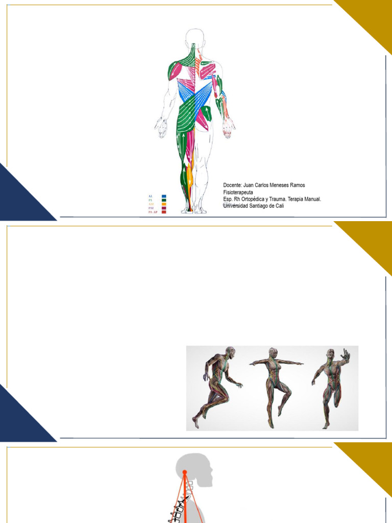 BIOMEC Cadenas - Postura | PDF | Rodilla | Músculo