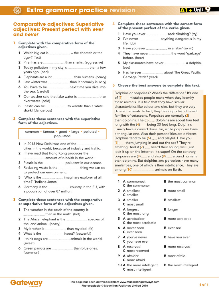 A1+ UNIT 9 Extra Grammar Practice Revision | PDF | Dolphin | Adjective