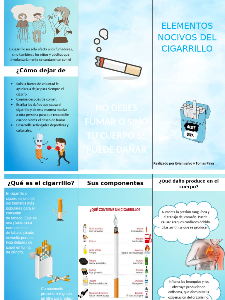 Efectos Nocivos del Cigarrillo | PDF | Cigarrillo | De fumar