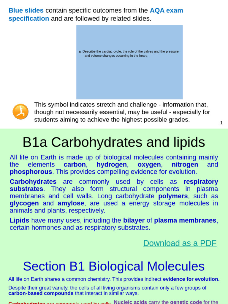 B1a Carbohydrates & Lipids SLIDES | PDF | Ion | Fatty Acid
