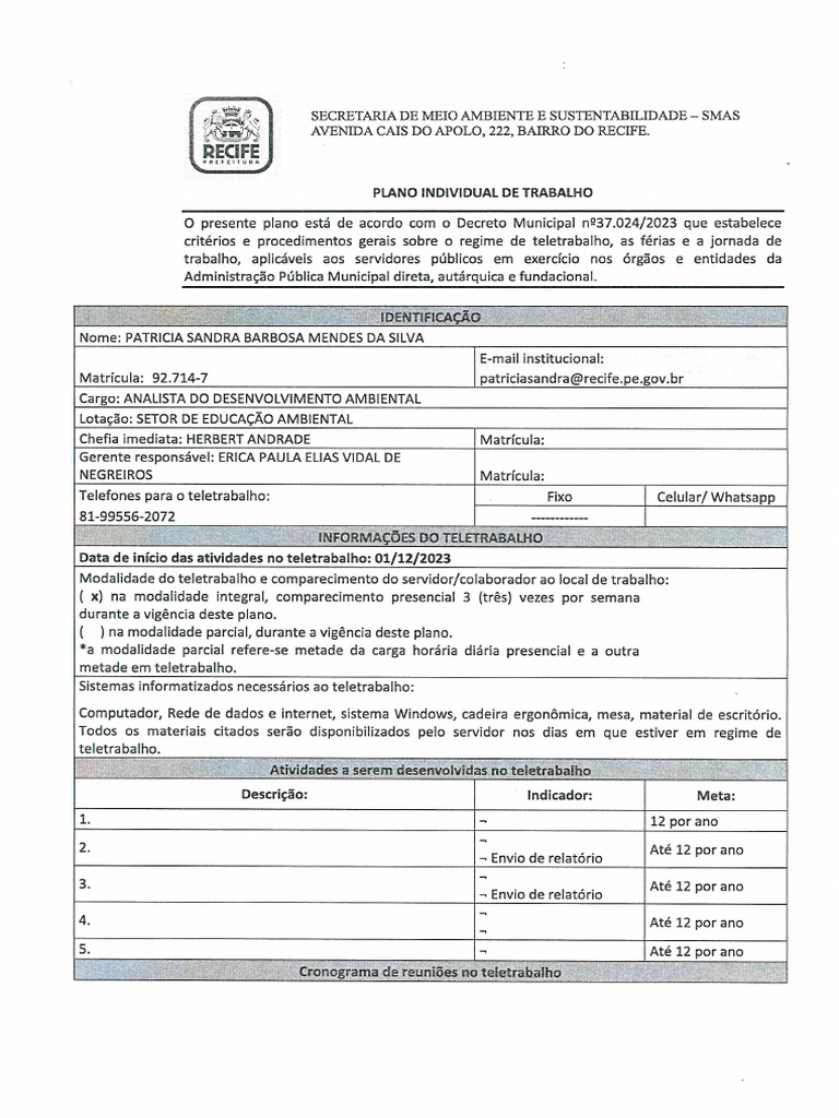 Plano Individual de Trabalho - Patrícia Mendes | PDF