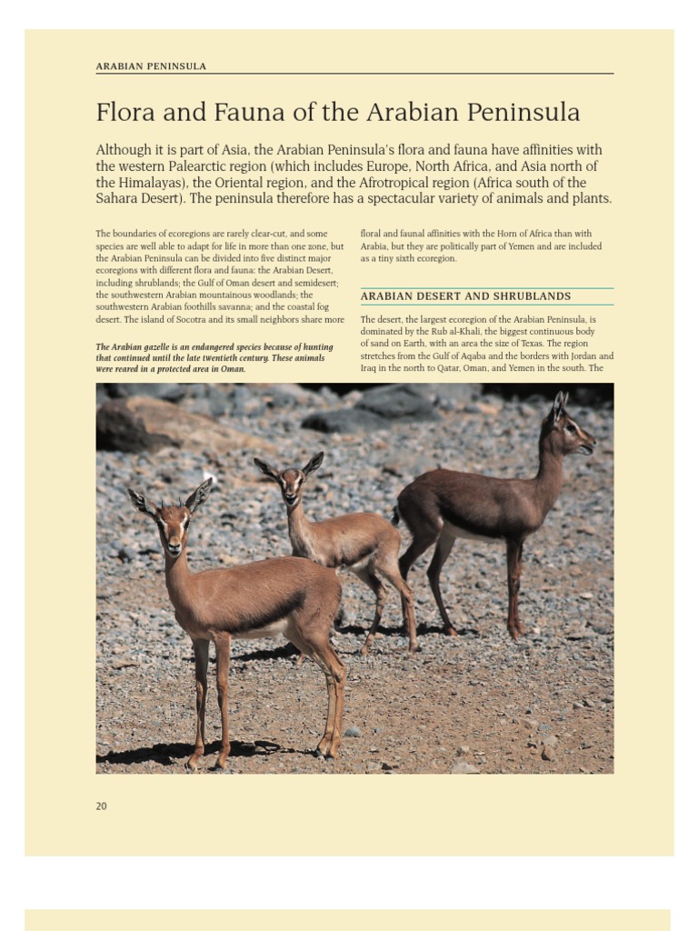 Arabian Peninsula Flora and Fauna Overview | PDF | Arabian Peninsula | Oman