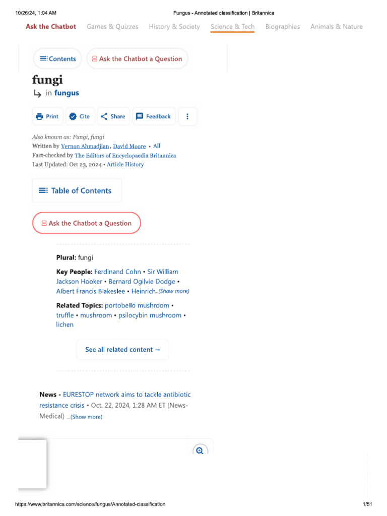 2024 Updated Fungi - Annotated Classification | PDF