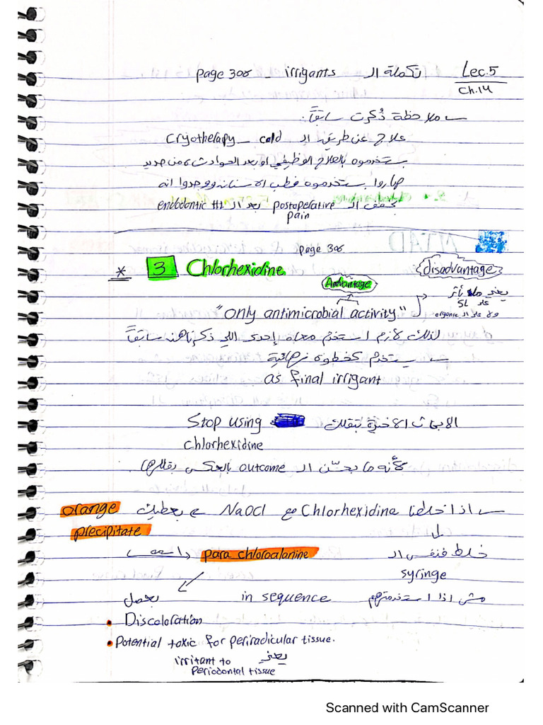 Endo II Lec5 | PDF