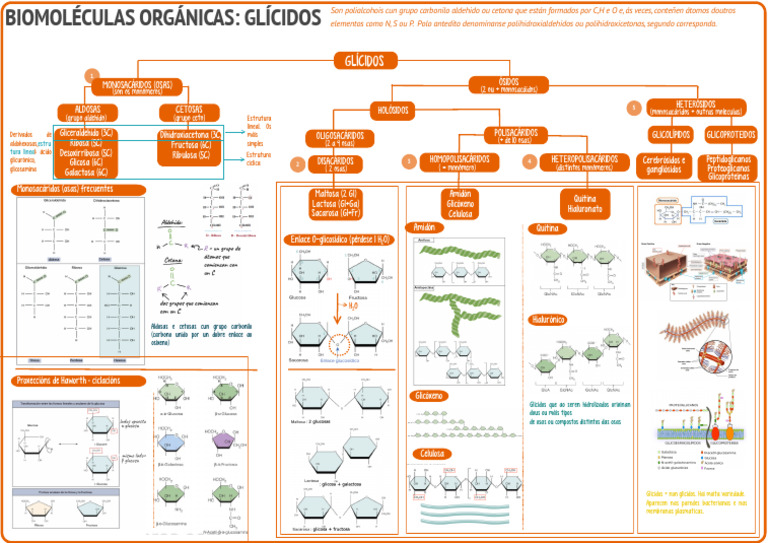 Glã Cidos-Esquema Xeral | PDF