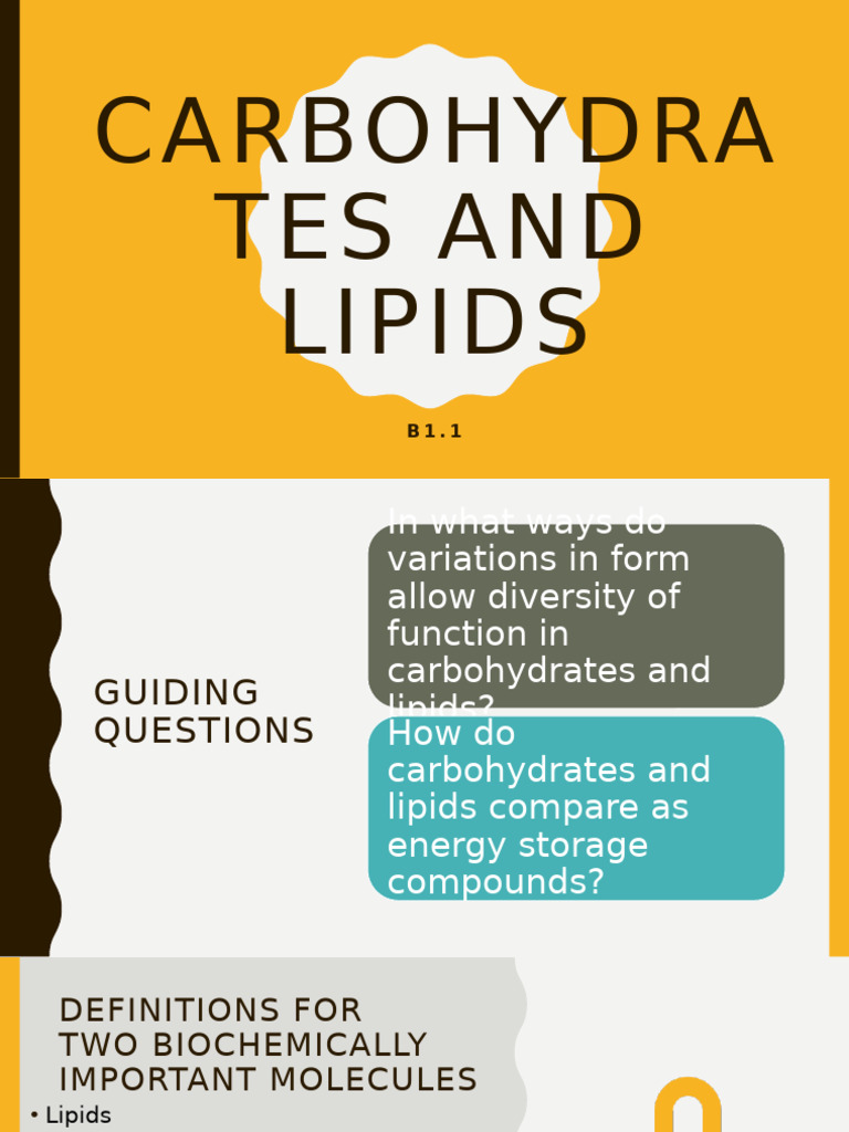 Carbohydrates and Lipids | PDF | Triglyceride | Fatty Acid