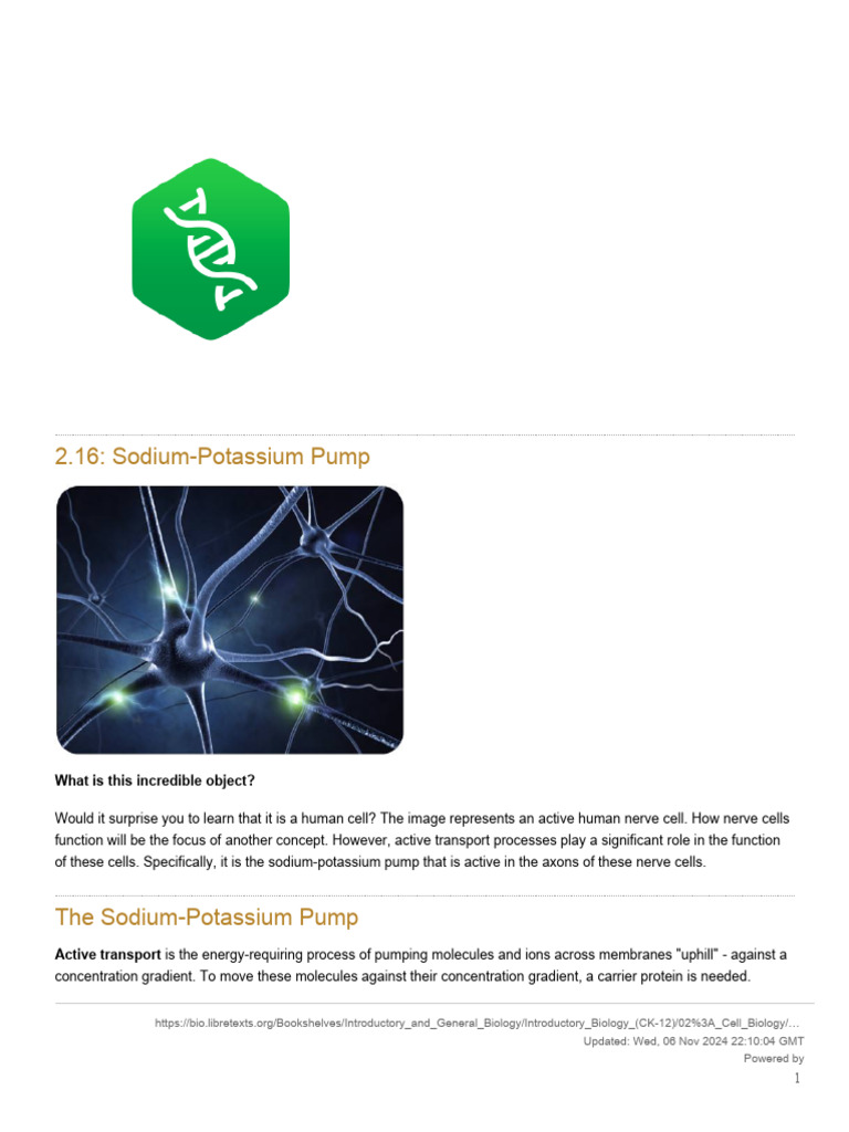 Sodium-Potassium Pump Mechanism Explained | PDF | Membrane Potential ...