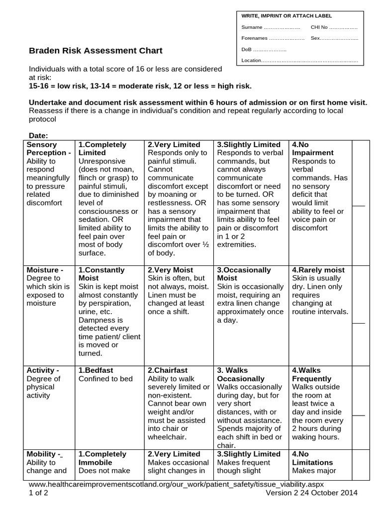 Braden Scale Risk Assessment Guide | PDF | Dietary Supplements | Meat