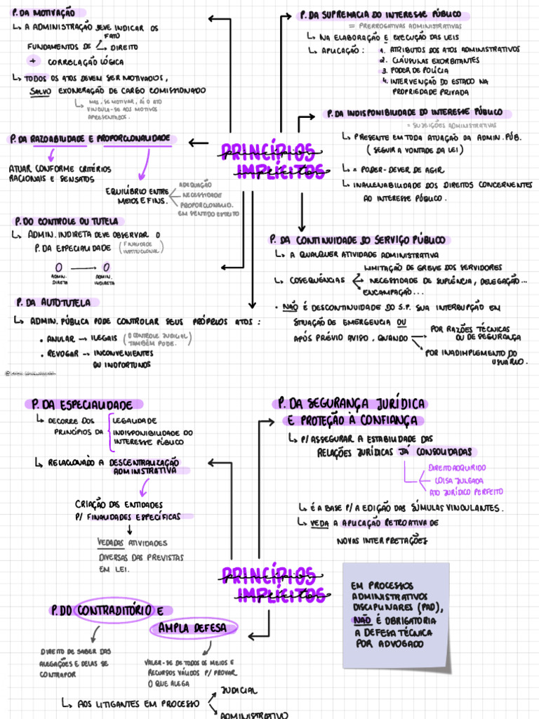 Aula 00 - Mapa mental2 | PDF