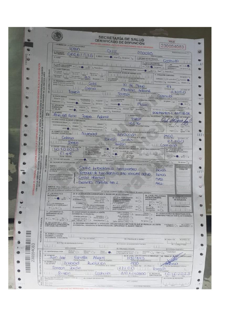 Document Ooo | PDF