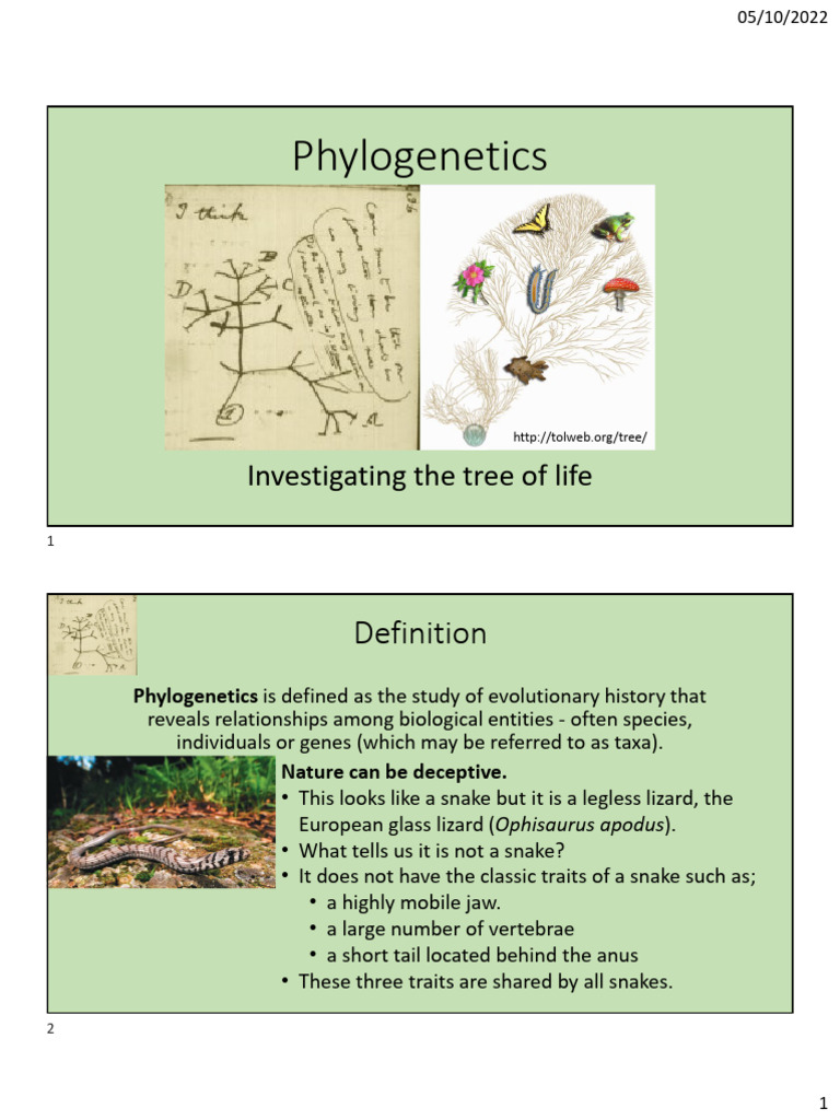Bio 201 2-Phylogenetics 2022 | PDF | Phylogenetics | Gene