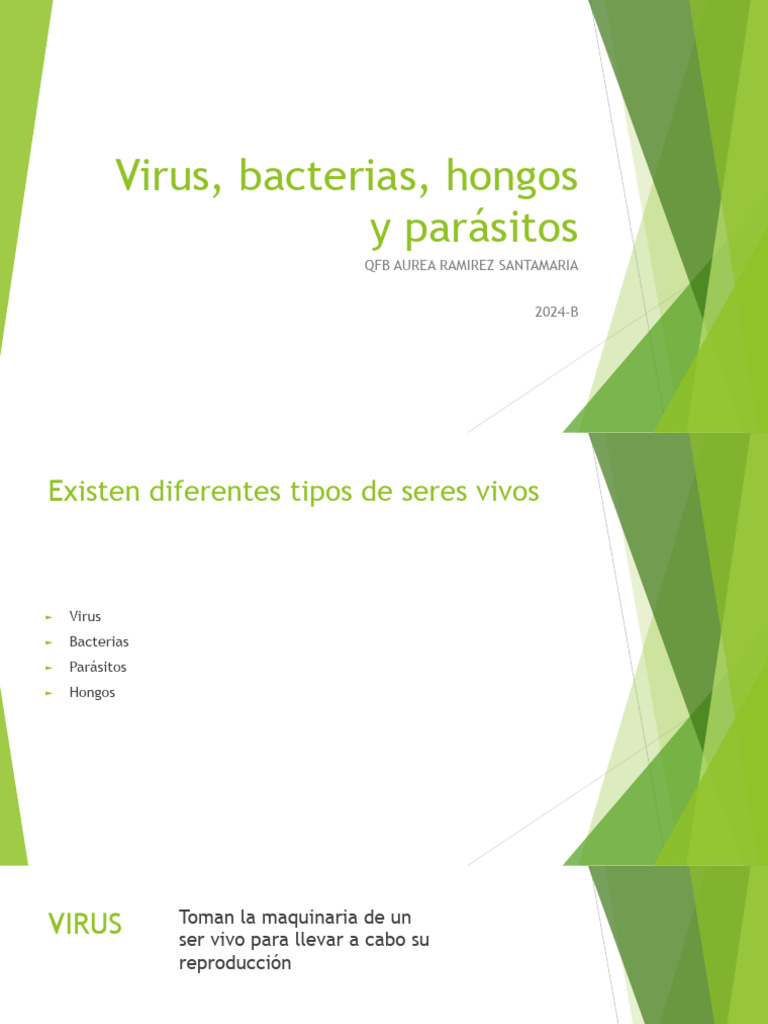 Virus - Bacterias - Hongos y Par-Sitos | PDF | Virus | Las bacterias
