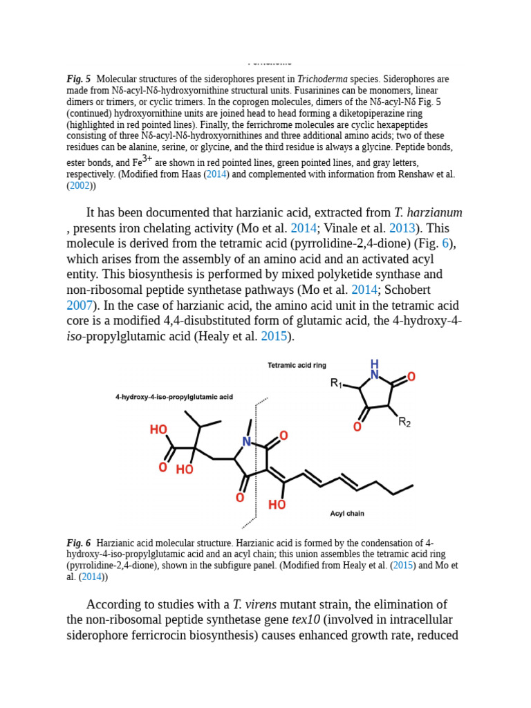 Funga Biology 22 Pdf Amino Acid Biosynthesis