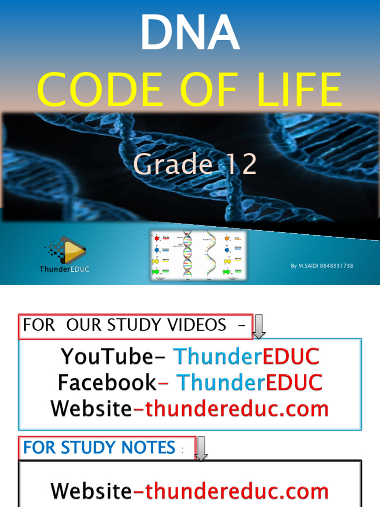 Dna Code of Life | PDF | Translation (Biology) | Dna