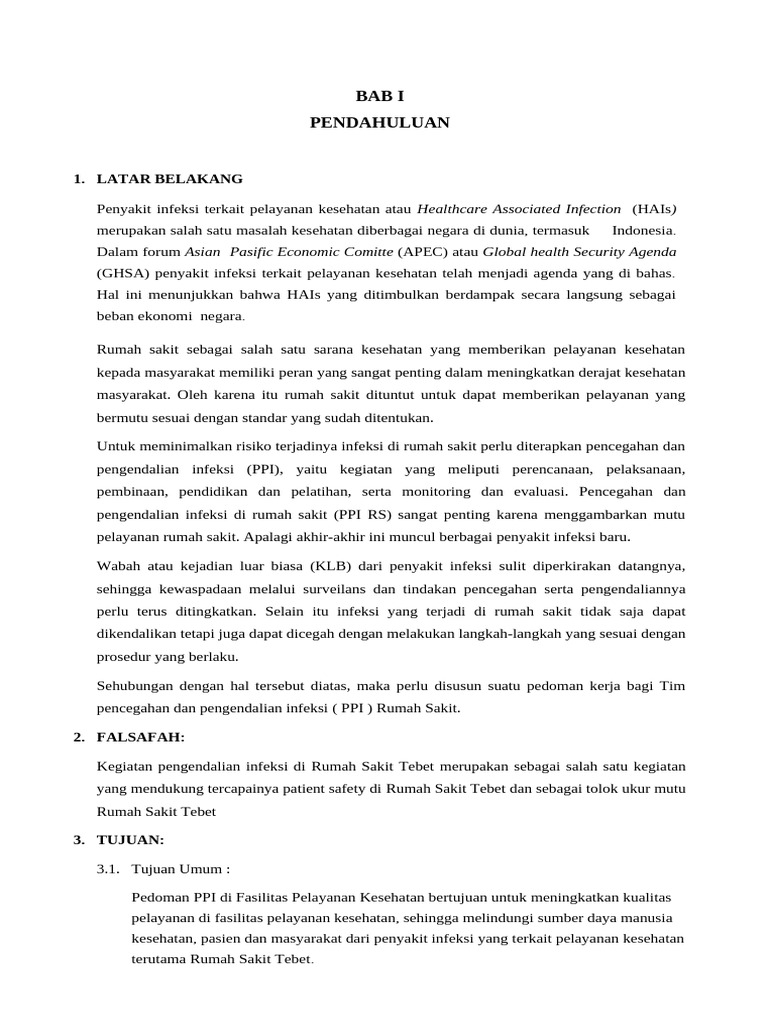 PEDOMAN PELAYANAN PPI RS TEBET On Edit New | PDF