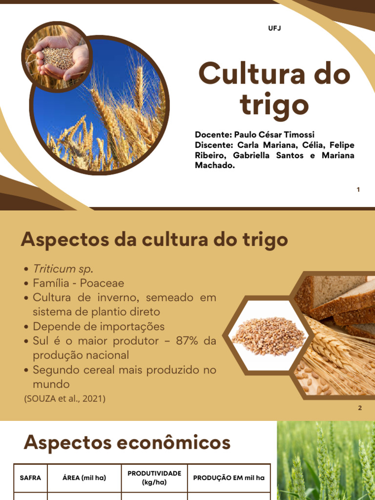 Cultura Do Trigo PDF | PDF | Agricultura | Trigo