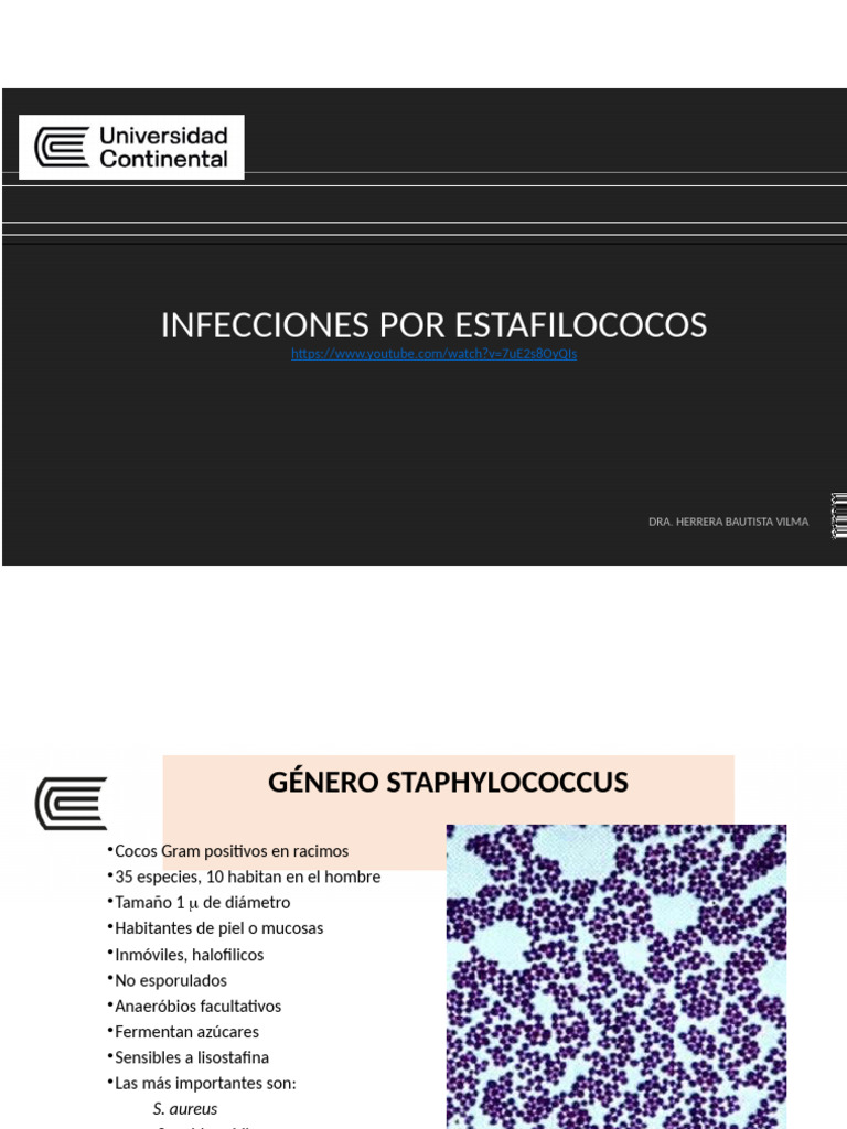 Infecciones por Estafilococos | PDF | Staphylococcus Aureus ...