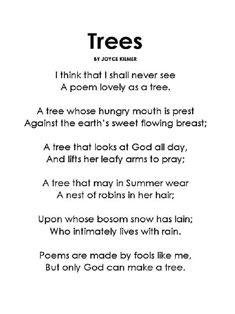 Grade 3 Science Activity | PDF