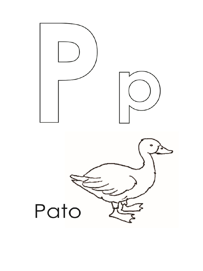 Pato | PDF